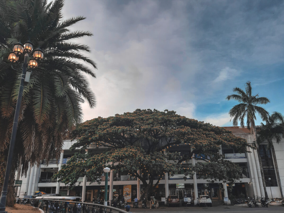 Peñaranda Park | Visit Legazpi